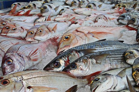 Notre liste de poisson sans arête : facile à cuisine et équilibré